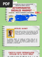 Modelo de Rothman | PDF