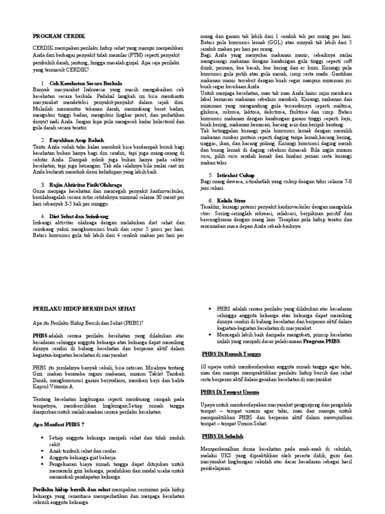 Program Cerdik | PDF | Kesehatan Holistik