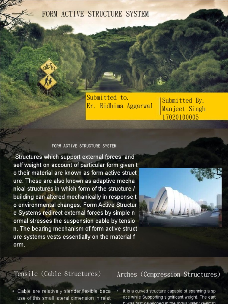 Form Active Structure System: Submitted By. Manjeet Singh 17020100005 ...