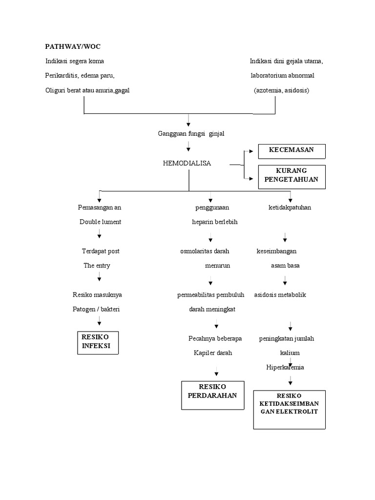 Pathway Hemodialisa dan Risiko Terkait | PDF