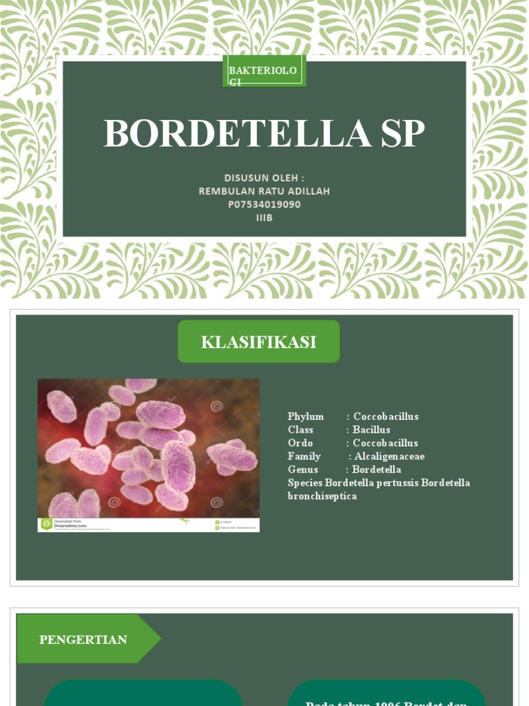 Bordetella SP | PDF