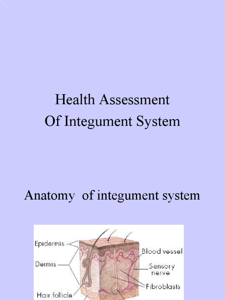 Health Assessment of Integument System | PDF | Dermatitis | Skin