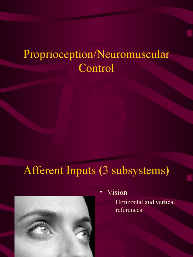 Proprioception Neuromuscular Control | PDF | Somatosensory System ...