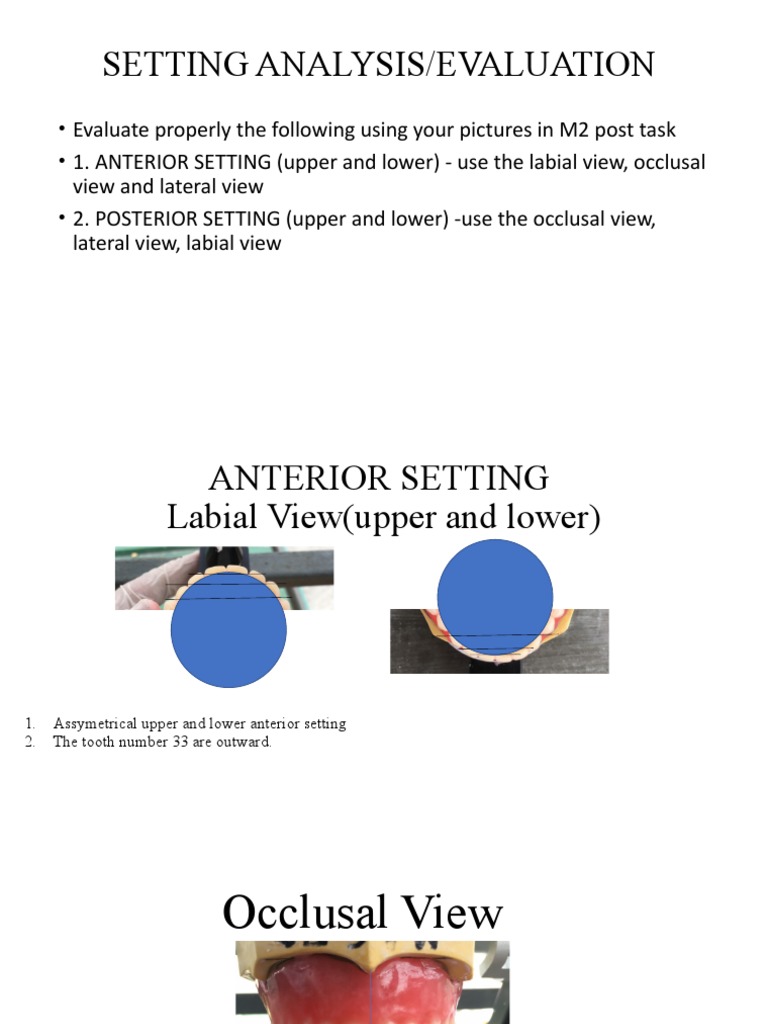Setting Analysis | PDF