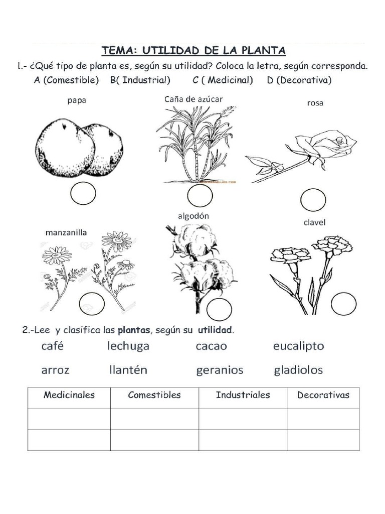 Hoja De Trabajo Sobre Usos De Las Plantas