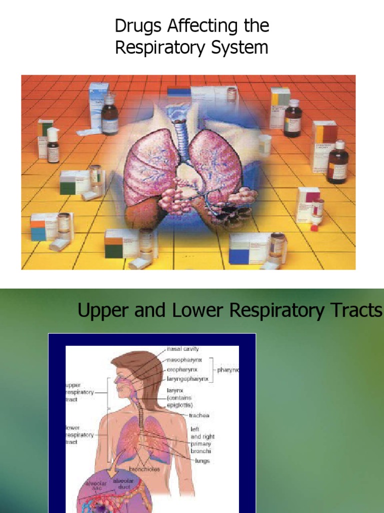 Drugs Acting On Respiratory System | PDF | Common Cold | Asthma