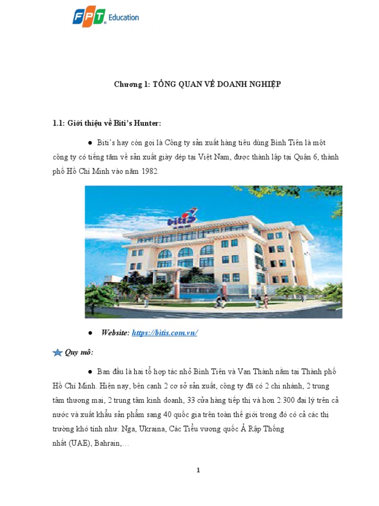 Assignment Nhóm 1 Công Ty Biti's.docx Bản Final | PDF