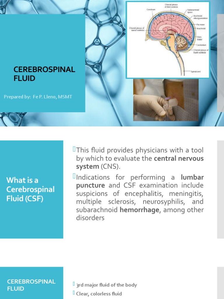 CSF Examination and Analysis Guide | PDF | Cerebrospinal Fluid ...