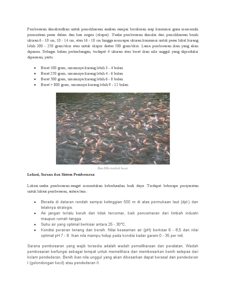 Lokasi, Sarana & Sistem Pembesaran Ikan Nila | PDF
