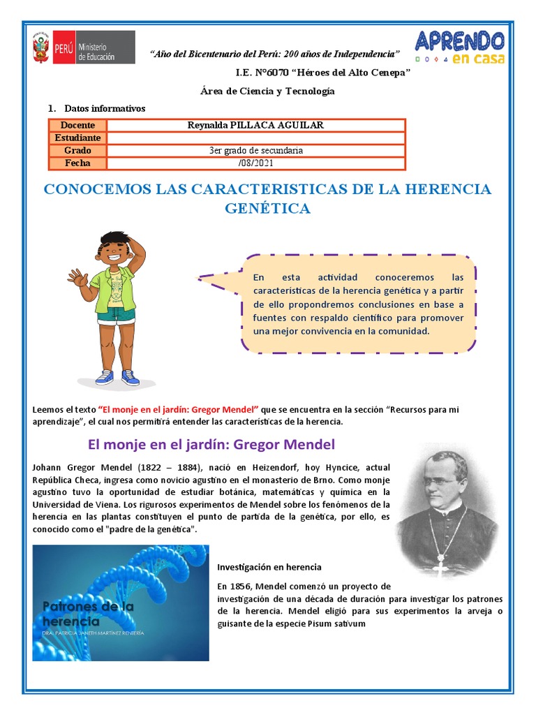 Actividades de Genética y Herencia | PDF | Dominancia (Genética) | Genética