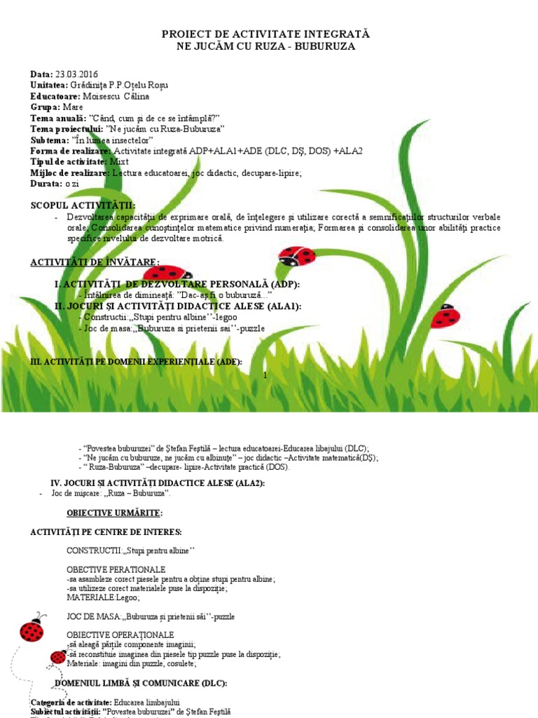 Proiect Inspectie Moisescu Calina | PDF