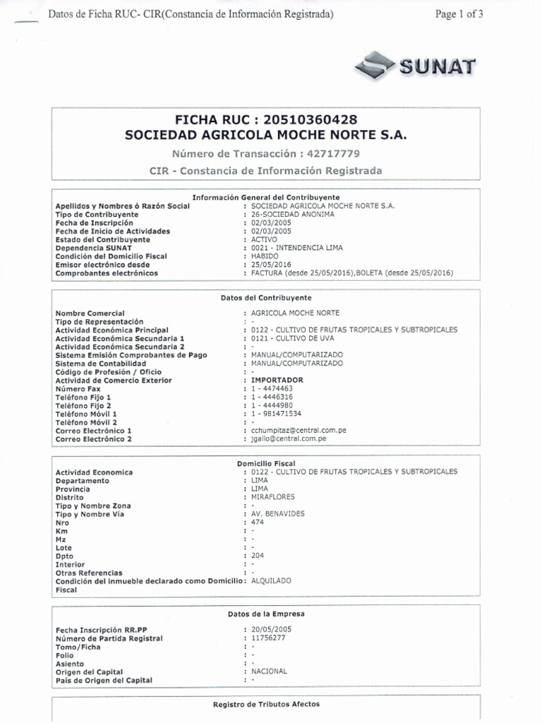 FICHA RUC Samnsa | PDF