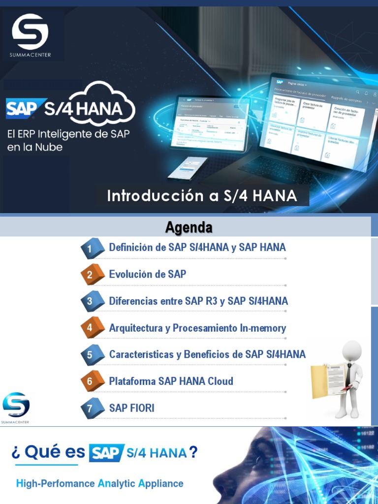Introducción A SAP S4HANA | PDF