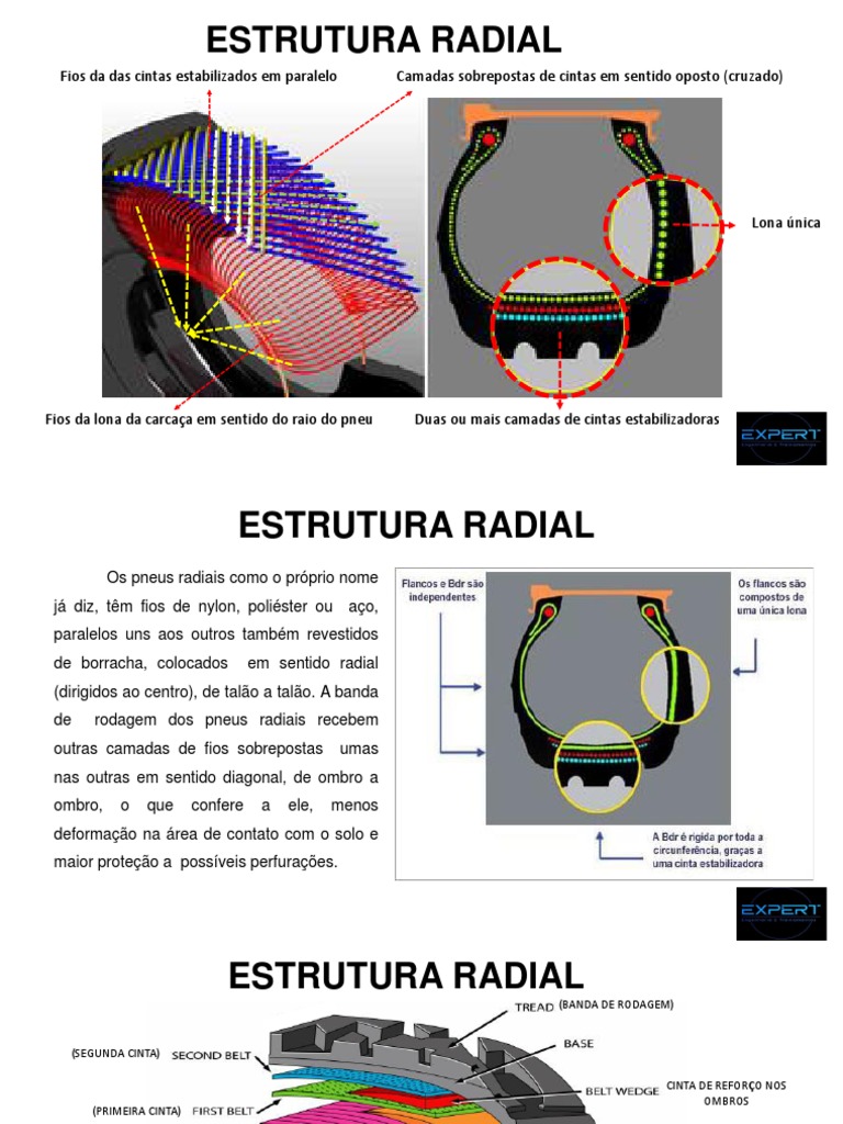 Estrutura Radial | PDF