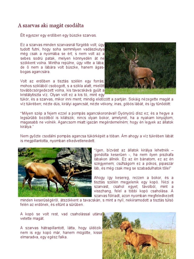 Erdei Allatok Mese | PDF