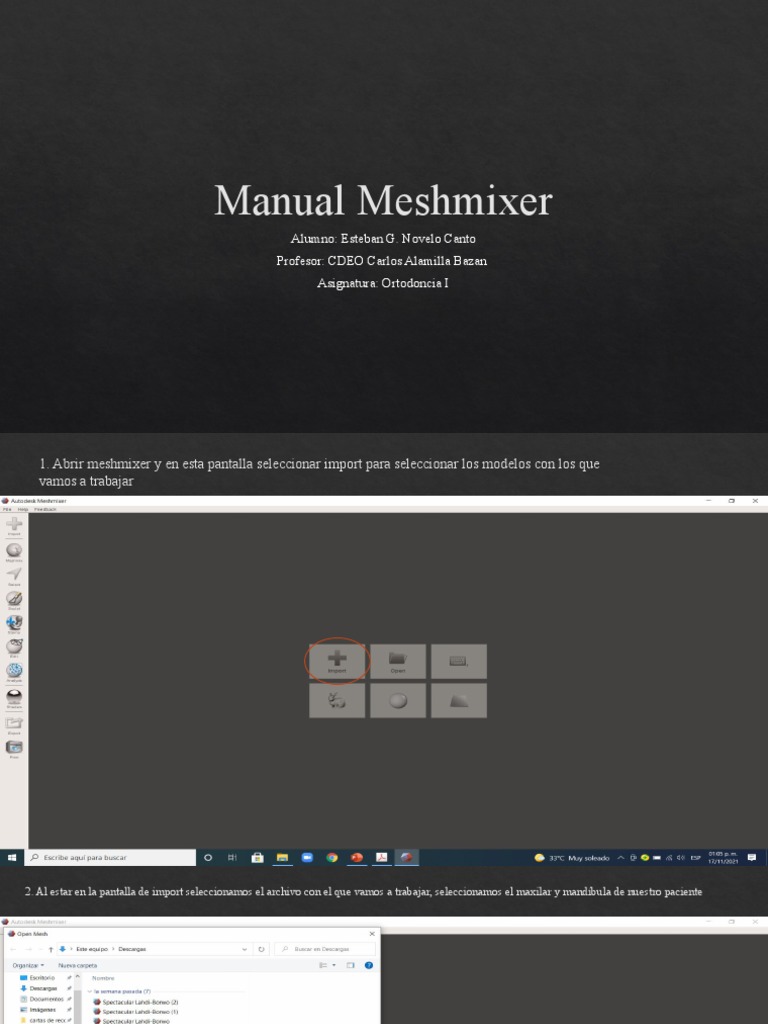 Manual Meshmixer | PDF