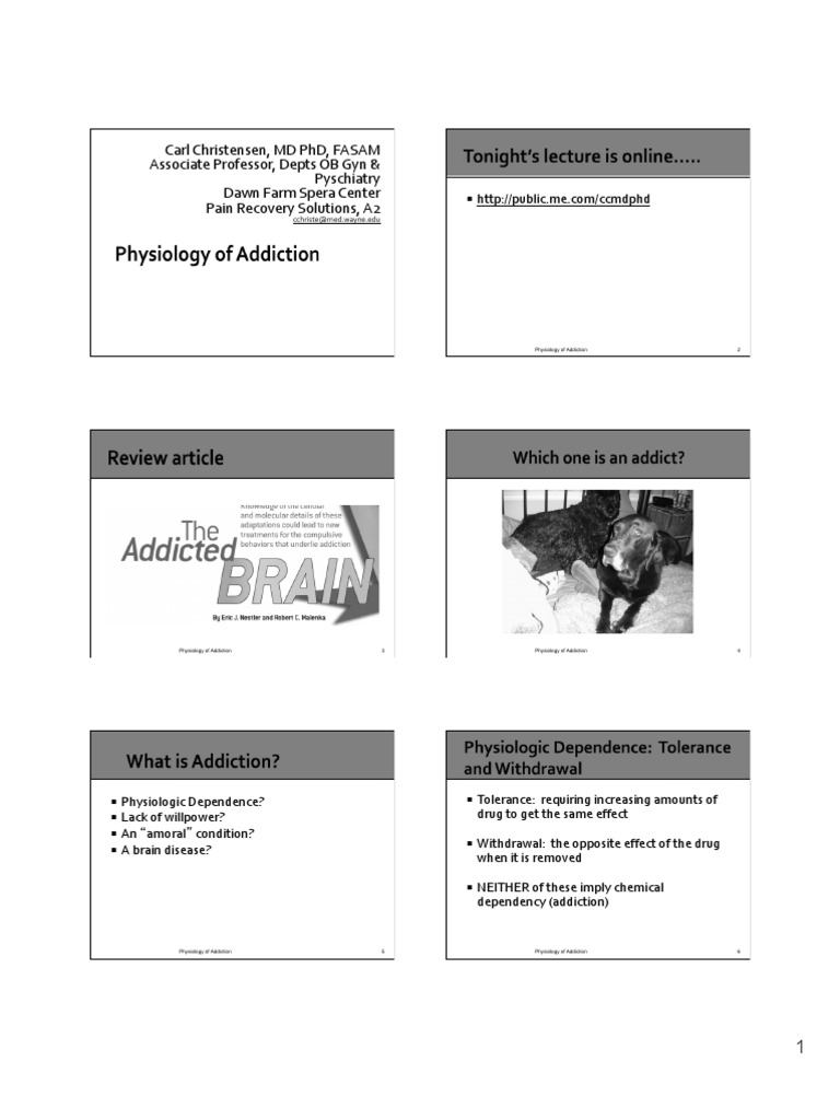 Physiology of Addiction Handout | PDF | Substance Dependence | Dopamine