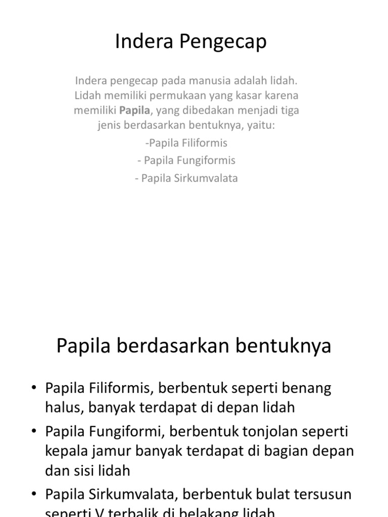 Presentasi Indera Pengecap | PDF