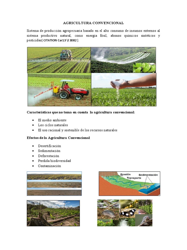 Agricultura Convencional y Organnica | PDF | Agricultura ecológica | Agricultura