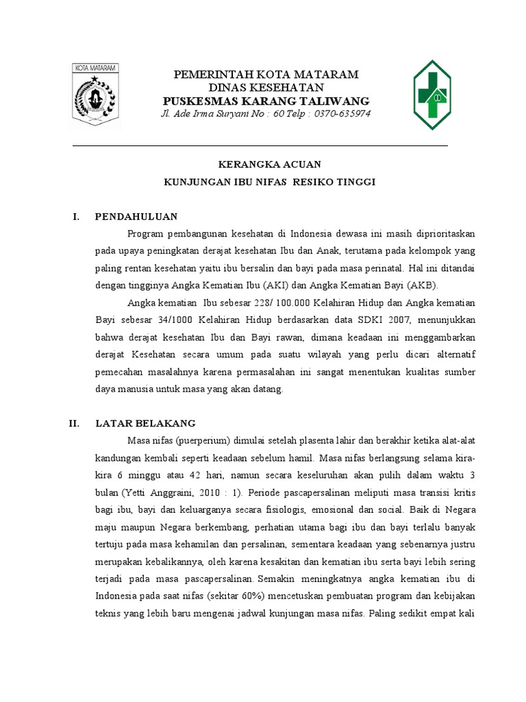 Ka Kunjungan Bufas Resti | PDF
