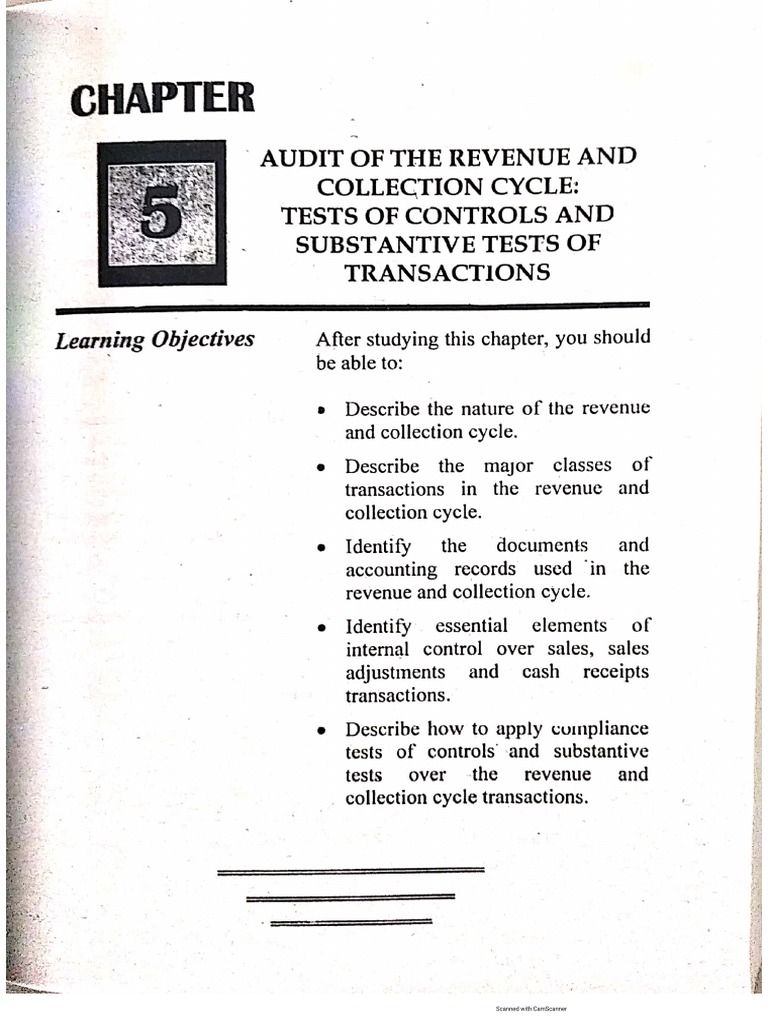 Audit of Revenue and Collection Cycle | PDF