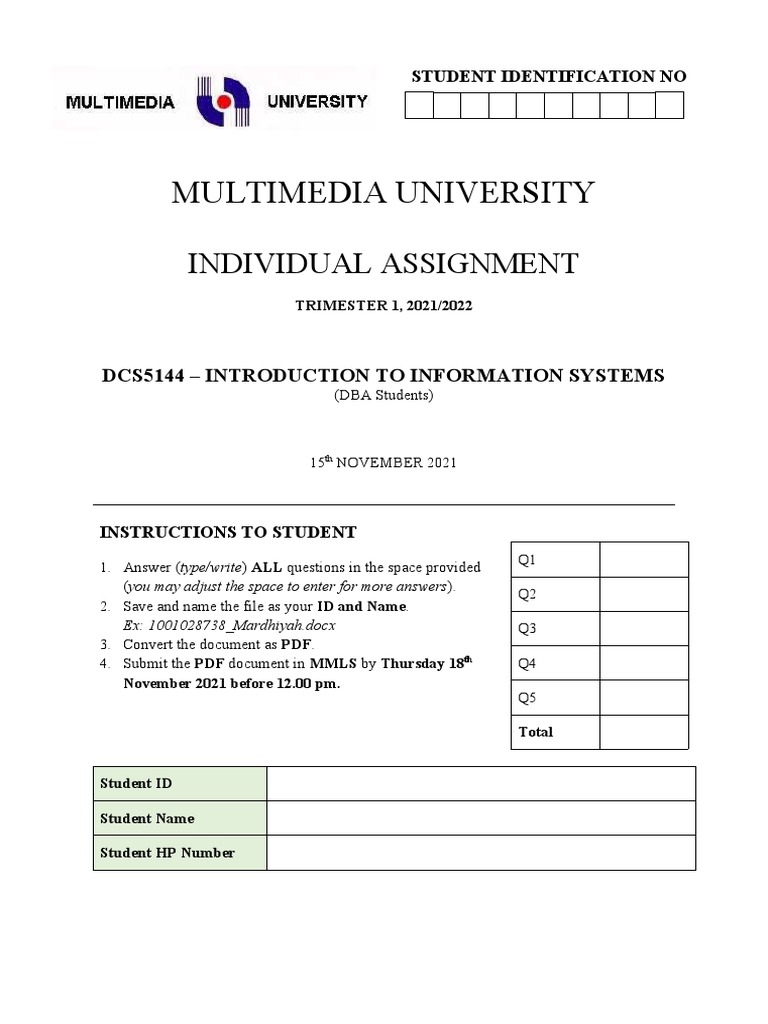 Introduction to Info Systems Assignment | PDF | Authentication | Analytics