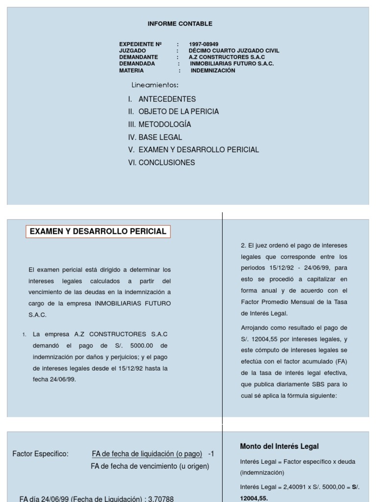 Informe Pericial Contable | Descargar gratis PDF | Contabilidad | Deuda