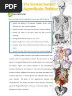 Labeled Anatomy Models | PDF