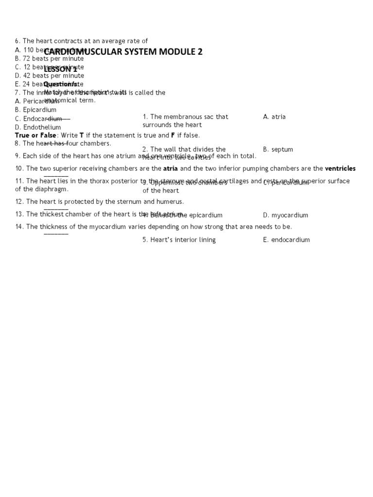 Cardiomuscular System Module 2: Lesson 1 | PDF | Heart Valve | Heart