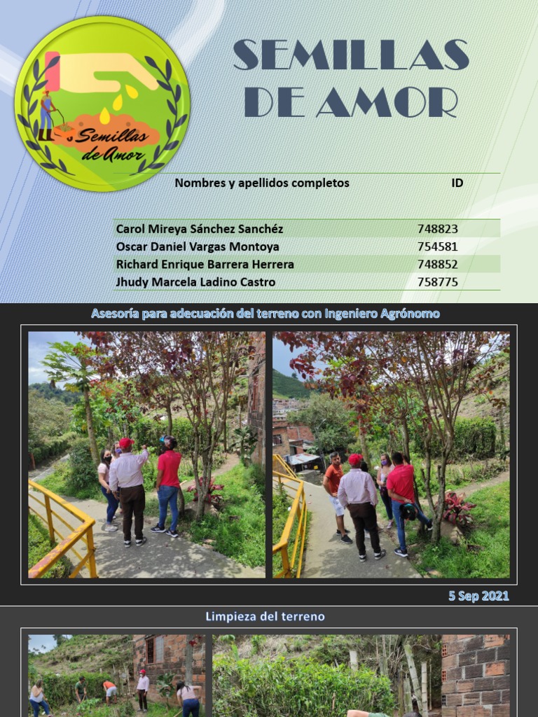 Semillas de Amor para Primeros Grados | PDF