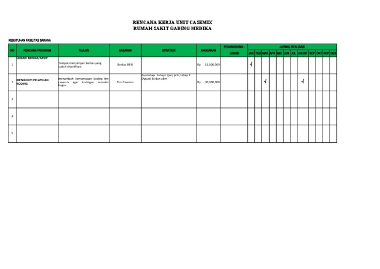 Rencana Kerja Casemix | PDF