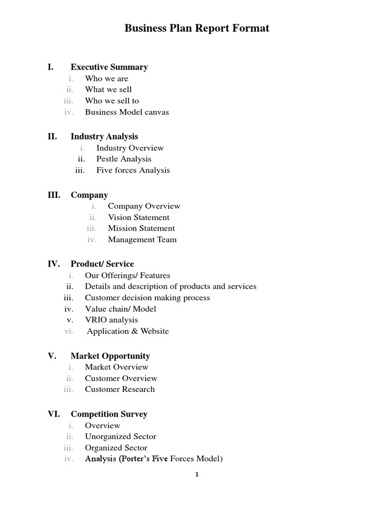 Format For Business Plan Report (7158) | PDF