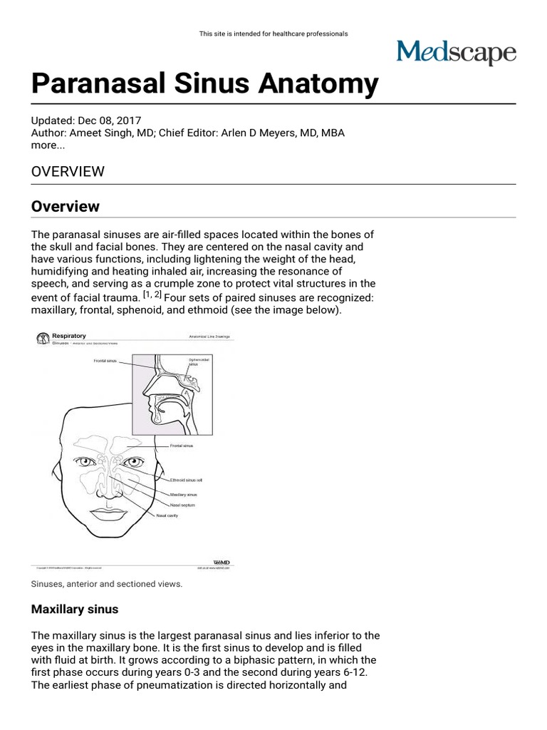 Paranasal Sinus Anatomy - Overview, Gross Anatomy, Microscopic Anatomy ...