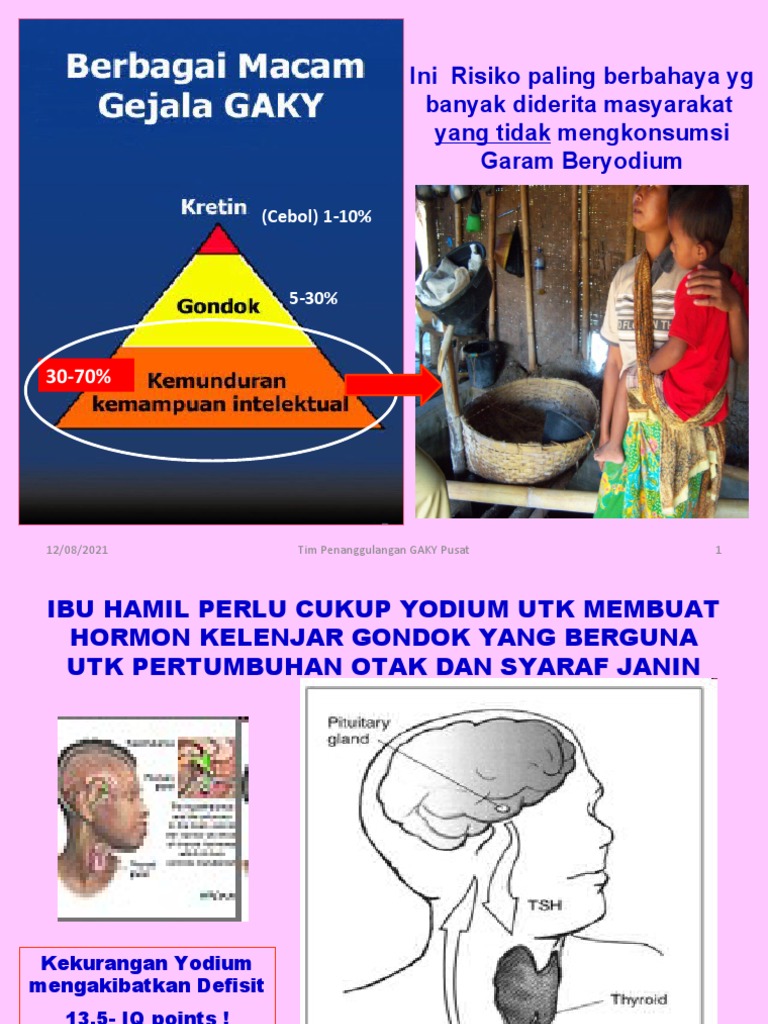 Pentingnya Garam Beryodium untuk Ibu Hamil | PDF | Sains & Matematika