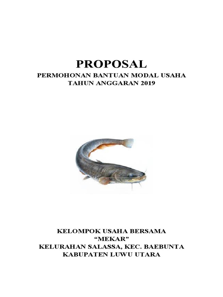 PROPOSAL Wirausaha Lele | PDF