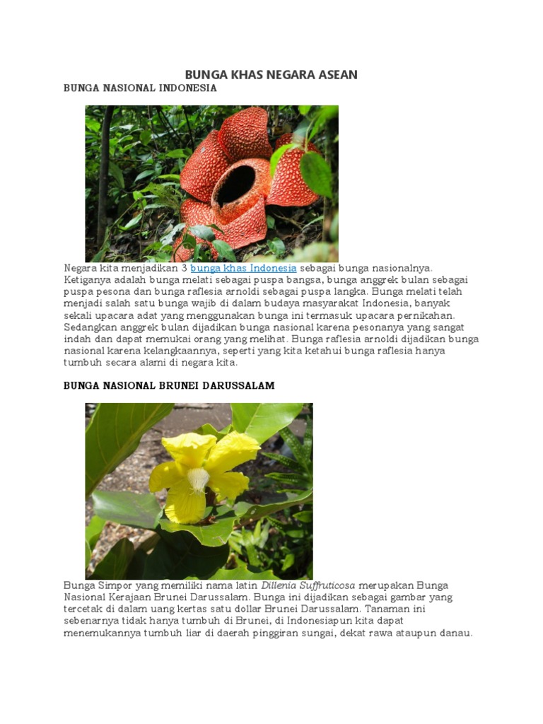 Bunga Khas Negara Asean | PDF