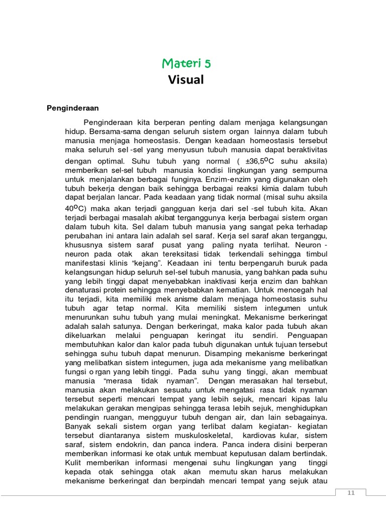 Biopsikologi Materi 5 Visual | PDF | Pengembangan Diri