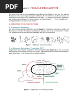 Cours 2-La Paroi Pectocellulosique PDF | PDF | Paroi cellulaire | Lignine