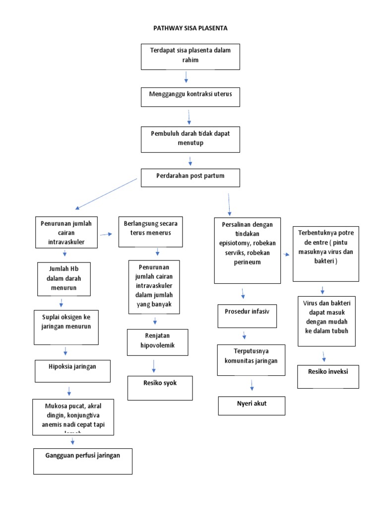 Pathway Sisa Plasenta | PDF