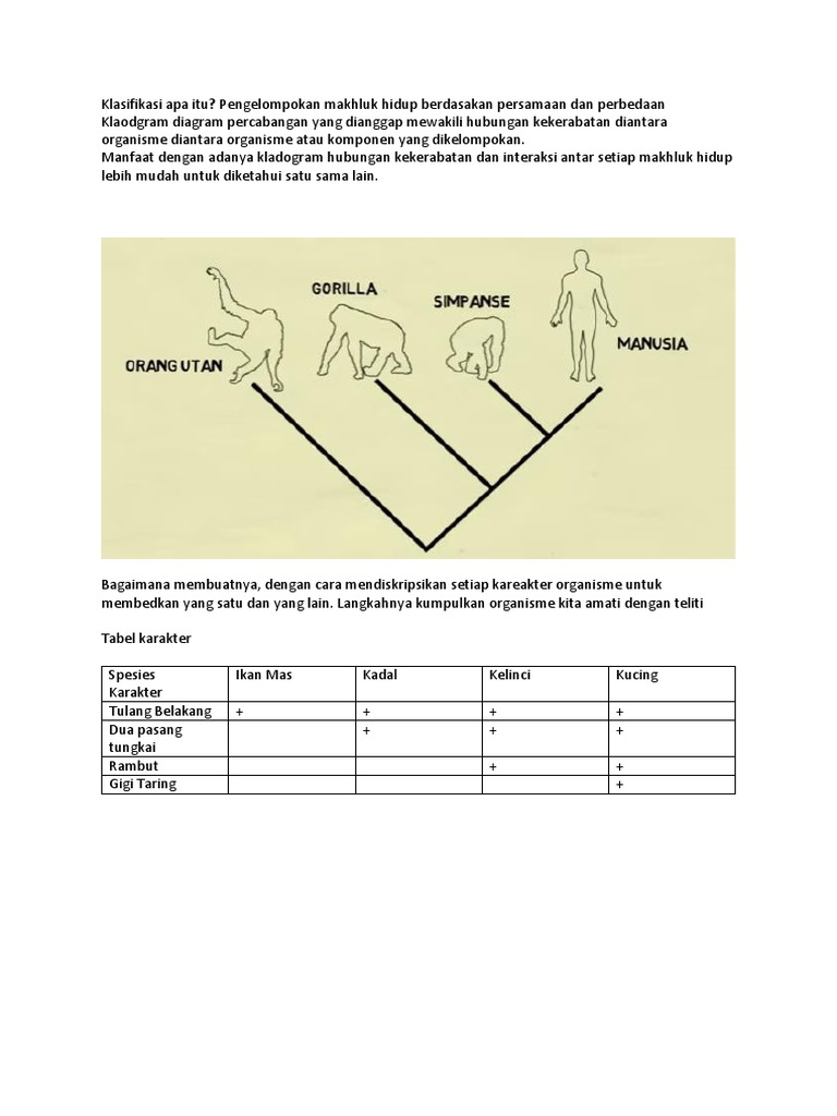 KLADOGRAM | PDF
