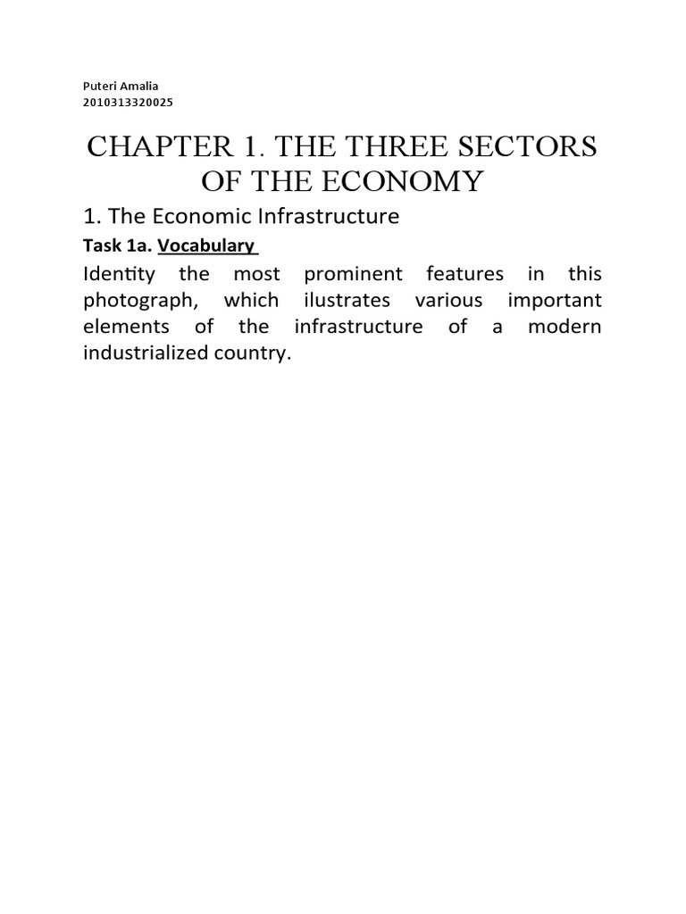 Understanding the Three Economic Sectors | PDF