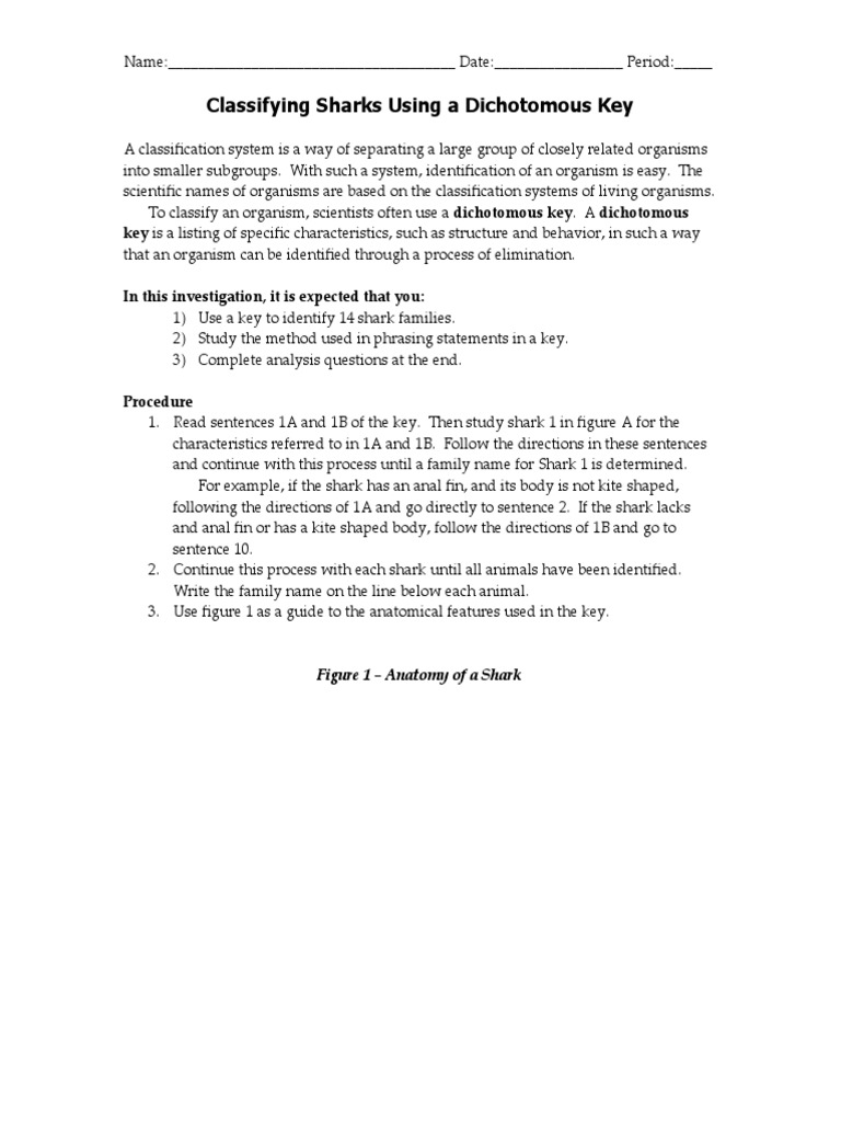Classifying Sharks Using A Dichotomous Key | PDF | Sharks | Fish