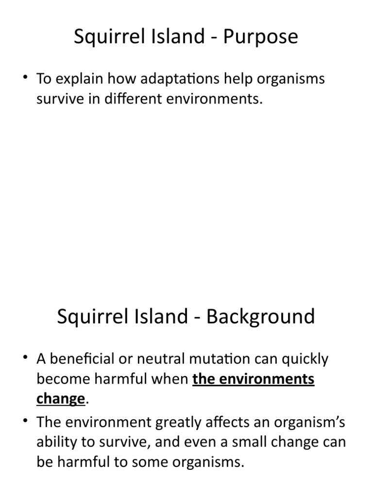 Squirrel Island and Creatures of The Deep | PDF | Ecological Niche | Predation