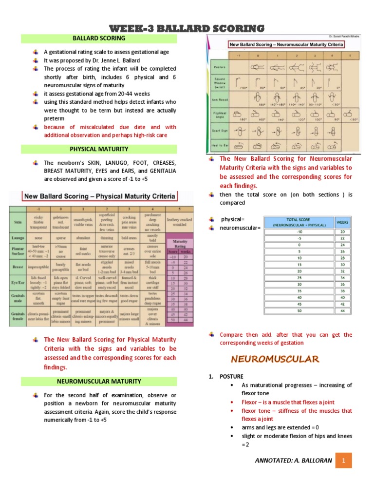 Ballard Score Pediatrics Nursing Education Nurse Experiences Of