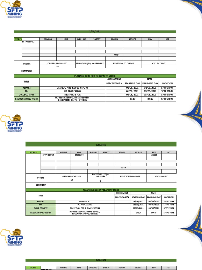 Daily Store Report | PDF