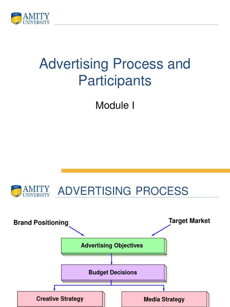 Advertising Process and Participants | PDF | Advertising | Target Audience