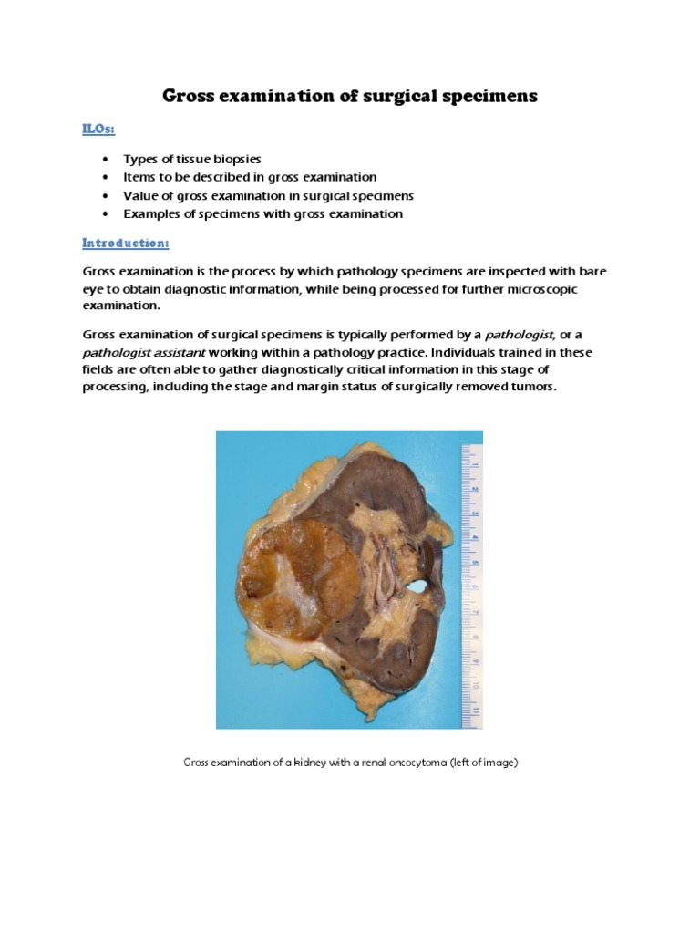 Gross Examination of Surgical Specimens | PDF | Biopsy | Pathology