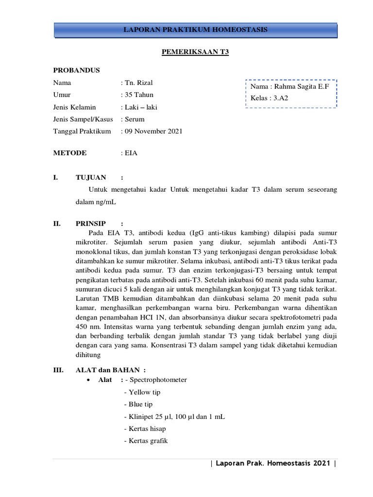 Laporan Pemeriksaan T3 | PDF
