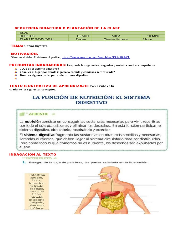 Actividad de Aprendizaje Grado 3 Ciencias | PDF