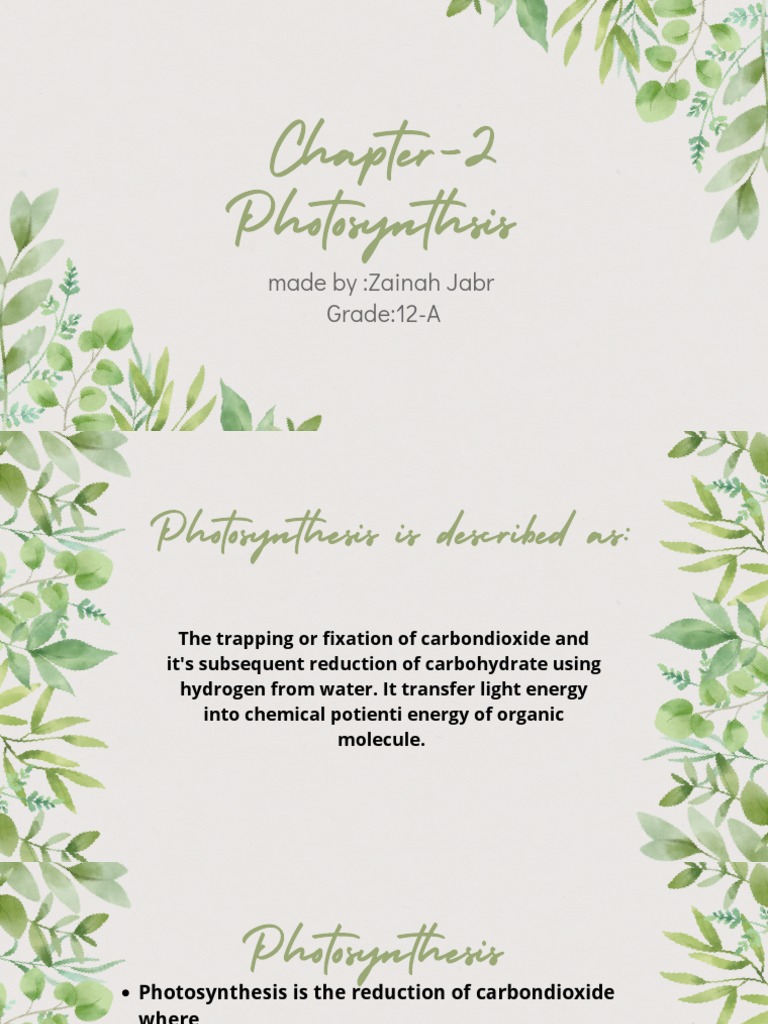 Chapter-2 Photosynthsis: Made By:zainah Jabr Grade:12-A | PDF ...
